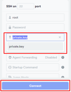 Connect via SSH with Termius - Cloudpepper